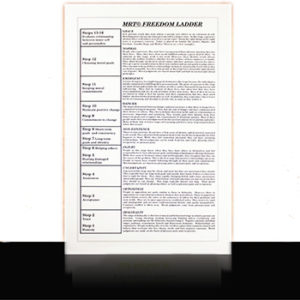 MRT Freedom Ladder Poster - CCIMRTCCIMRT
