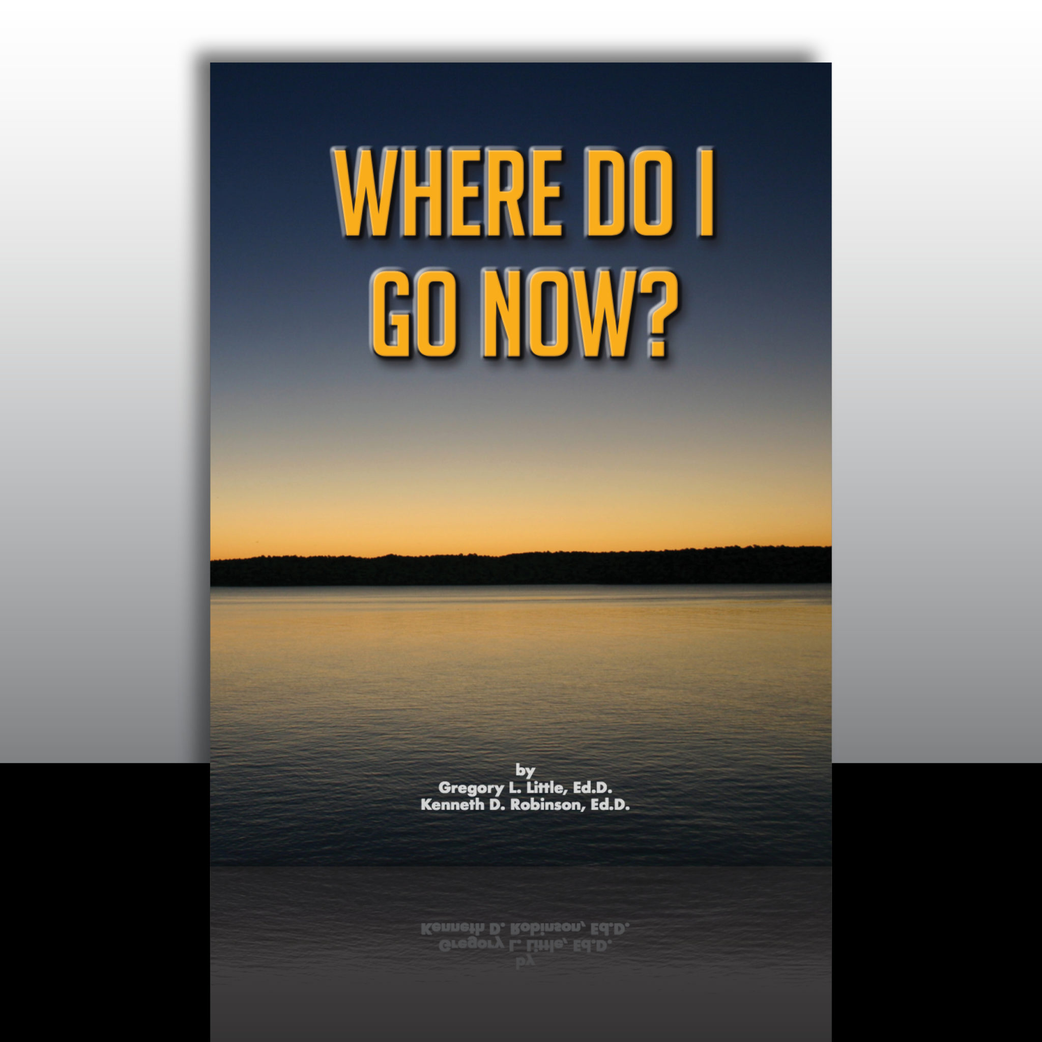 ¿Que Hago Ahora? What Do I Do Now? Opioid Program Workbook Spanish ...